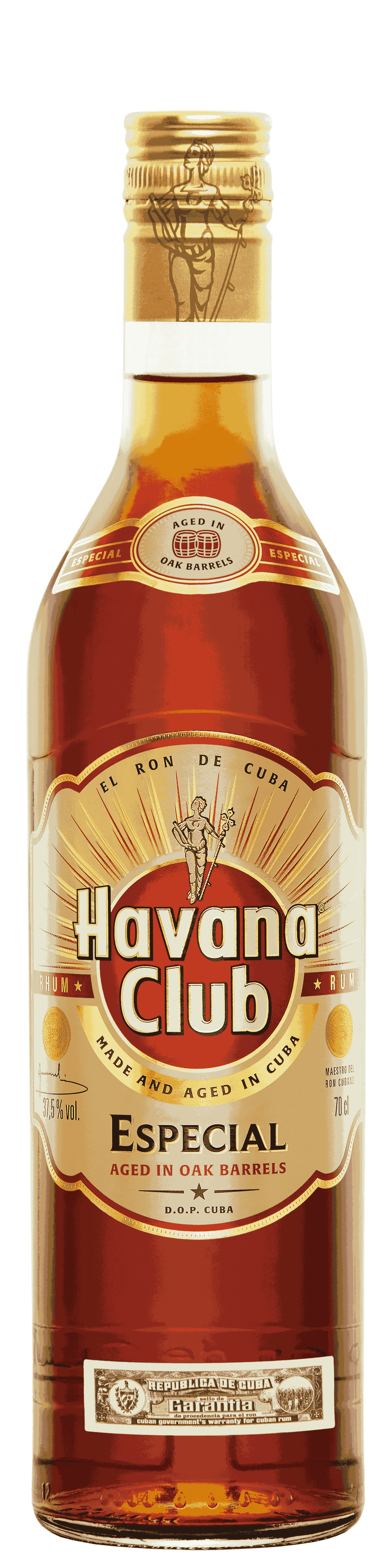 Havana Club Anejo Especial | goldener Rum | online kaufen